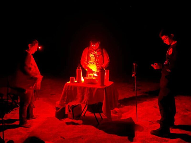 Huatulco: Nighttime sea turtle monitoring guided by a biologist - The Sum Up: A Truly Authentic and Meaningful Night Out