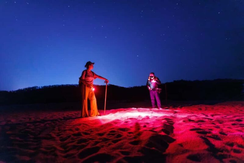 Huatulco: Nighttime Sea Turtle Monitoring guided by a biologist - A detailed look at the experience