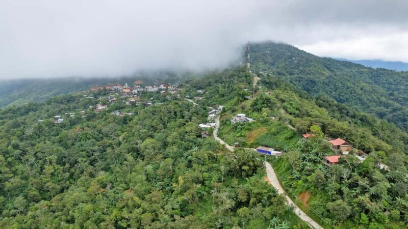 Huatulco: Pluma Hidalgo Coffee Origin and Essence. - Logistics and Practical Considerations