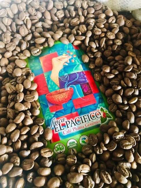 Huatulco: Santa Maria and Pluma Hidalgo Coffee Tour - Key Points