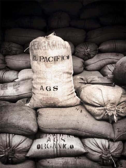 Huatulco: Santa Maria and Pluma Hidalgo Coffee Tour - The Sum Up