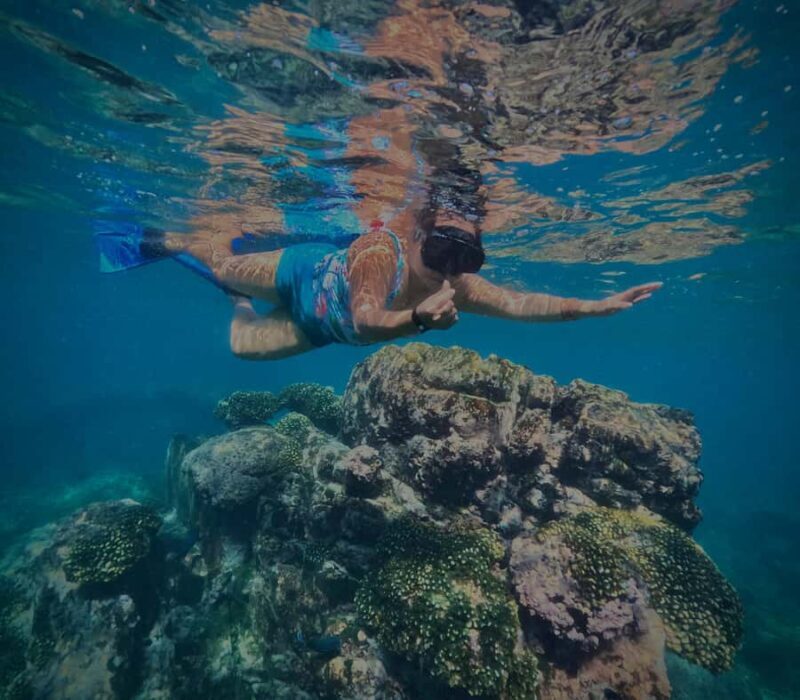 Huatulco: Snorkel at sunrise at La Entrega beach - Key Points