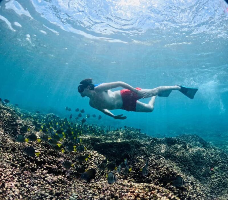 Huatulco: Snorkel at sunrise at La Entrega beach - Practical Tips for Travelers