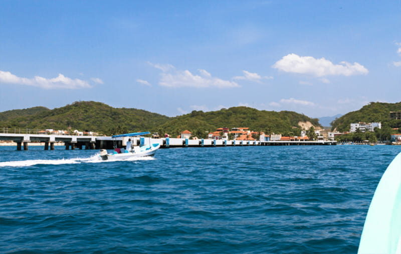 Huatulco: Sunrise Dolphin Watching with Beach Visit - Final Thoughts