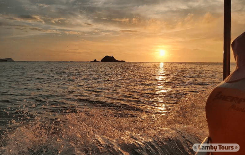 Huatulco: Sunrise Dolphin Watching with Beach Visit - Final Words