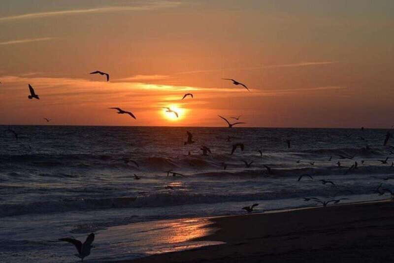 Huatulco: Unique Turtle Sanctuary & Sunset Experience - The Sum Up