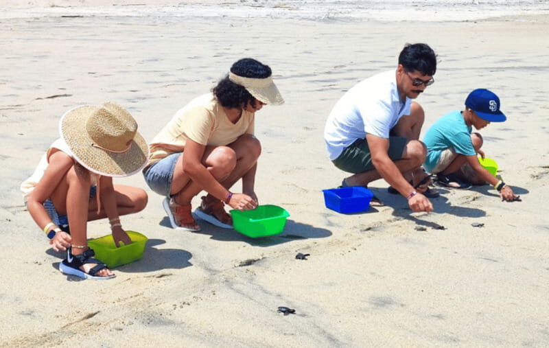Huatulco:Turtle release,horseback riding and bioluminescence - Unpacking the Experience: What You Can Expect from This Tour