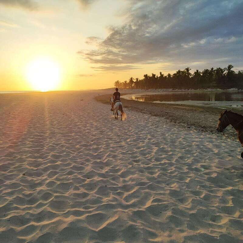 Huatulco:Turtle release,horseback riding and bioluminescence - Practical Considerations: Transport, Duration, and Cost