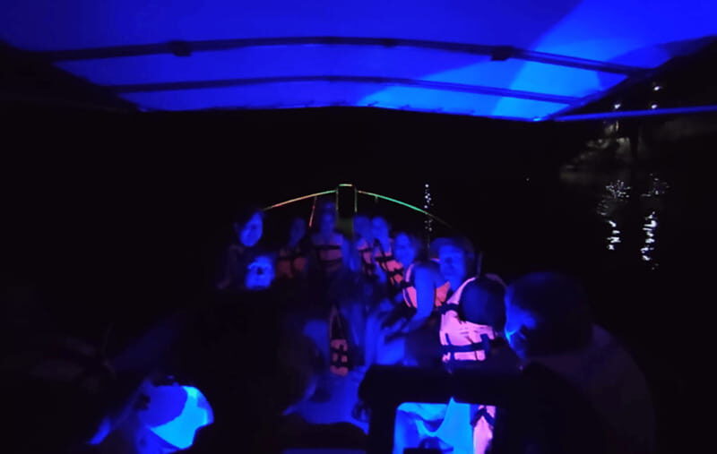 Huatulco:Turtle release,horseback riding and bioluminescence - The Experience Provider: Lamby Tours Huatulco