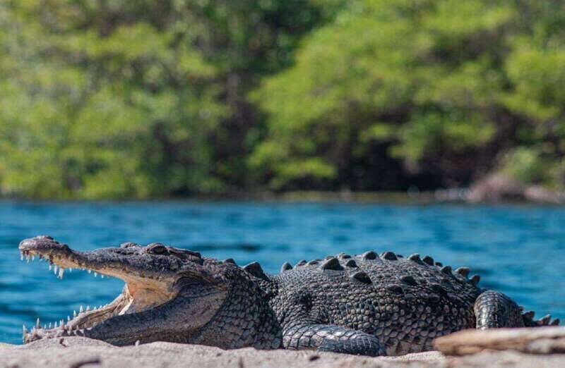 Huatulco:Ventanilla, Zipolite,Mazunte, and Puerto Angel Tour - Is This Tour Right for You?