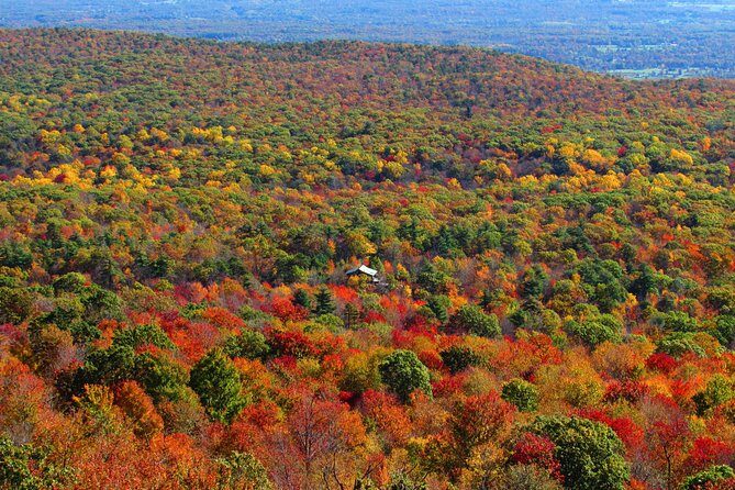 Hudson Valley Fall Foliage Helicopter Tour from Westchester (Shared) - Key Points