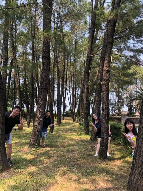 Hue City Explore Full Day Trip From Hoi An or Da Nang - An In-Depth Look at the Tour Itinerary