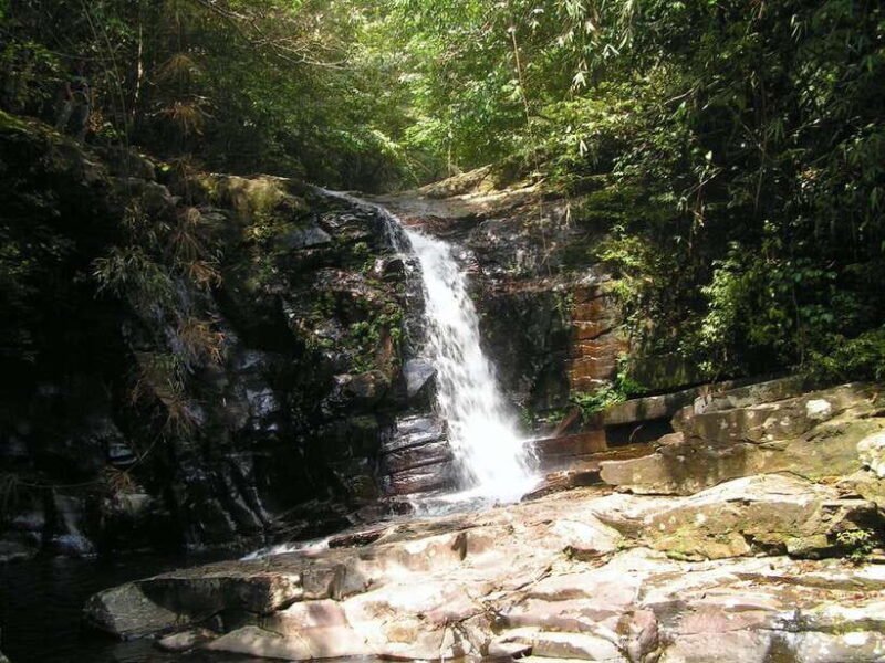 Hue: Full-day Bach Ma National Park Trek And Beach Retreat - What You Can Expect on This Tour