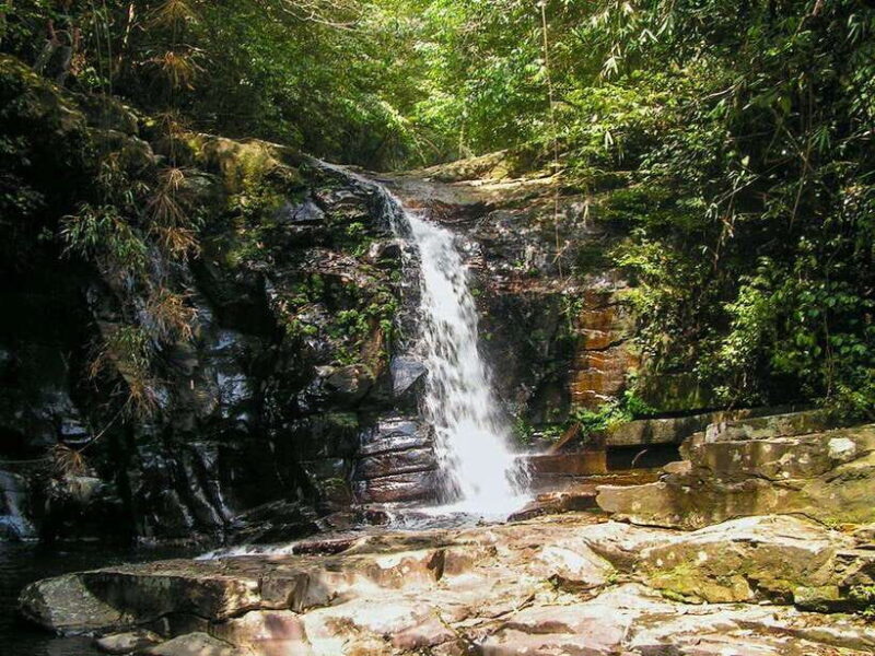 Hue: Full-day Bach Ma National Park Trek And Beach Retreat - FAQ