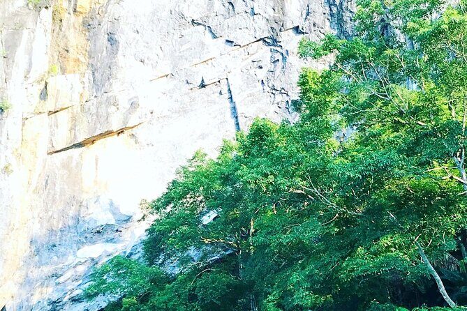 Hue: Full-day Echoes Of History Journey To Phong Nha Cave - Who Will Like This Tour?