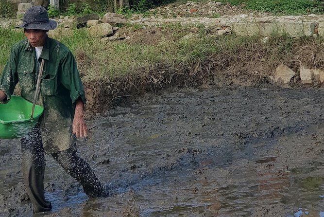 Hue Half-Day Private Tour: Thanh Toan village & Imperial Citadel - FAQ