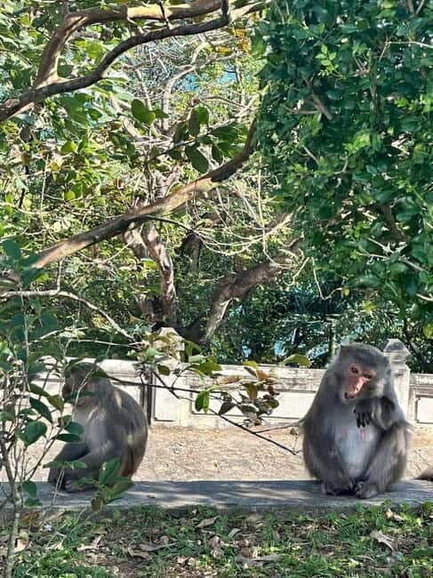 Hue: Private Car to/from Hoi An via Multi Attractions(1-Way) - Authentic Feedback from Travelers