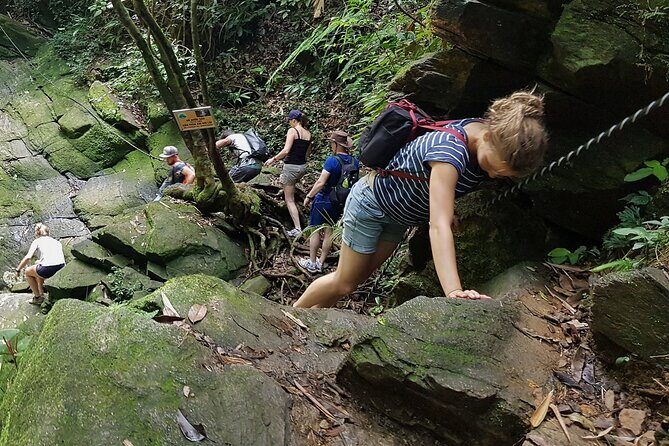 Hue to Bach Ma National Park: Trekking & Nature Adventure - An In-Depth Look at the Tour Experience