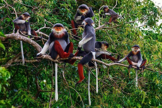 Hue to Hoi An or Hoi An to Hue by car via Hai Van pass, monkey mountain, beaches - Price and Value Analysis