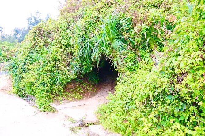 Hue To Phong Nha Cave Sightseeing Vinh moc Tunel DMZ - Frequently Asked Questions