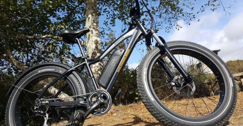 Humboldt: Electric Bike Rentals (4-Hour or Full Day options) - Exploring Humboldt’s Scenic Highlights