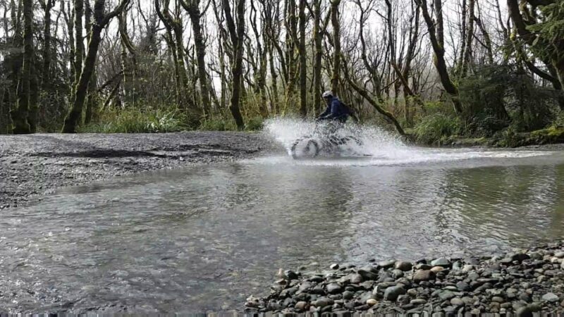 Humboldt: Electric Bike Rentals (4-Hour or Full Day options) - Exploring Humboldt on Electric Bikes: What to Expect
