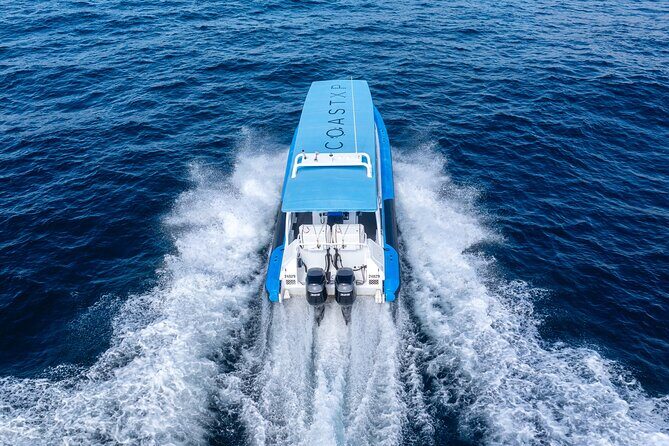 Humpback Whale Encounter Tour from Newcastle - Who Is This Tour Best For?