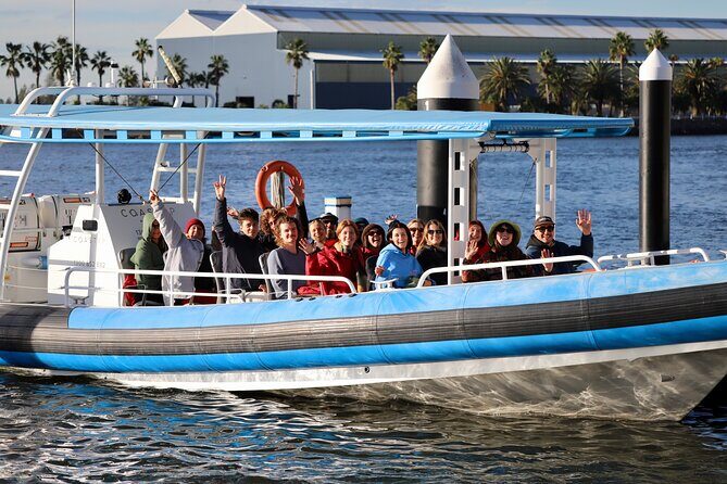 Humpback Whale Encounter Tour from Newcastle - What Past Travelers Love