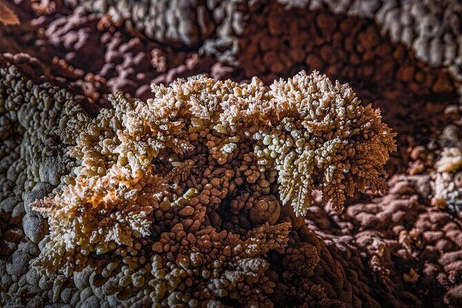 Hung Thoong cave | Stalactites, Underground River Phong Nha |3D2N - Key Points