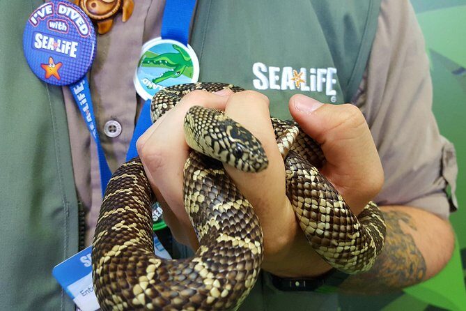 Hunstanton SEA LIFE Sanctuary General Admission Ticket - Introduction: What to Expect at Hunstanton SEA LIFE Sanctuary