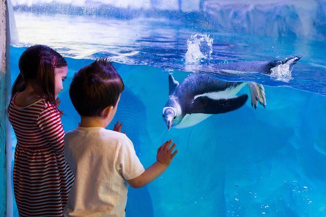 Hunstanton SEA LIFE Sanctuary General Admission Ticket - The Practicalities: What’s Included and What’s Not