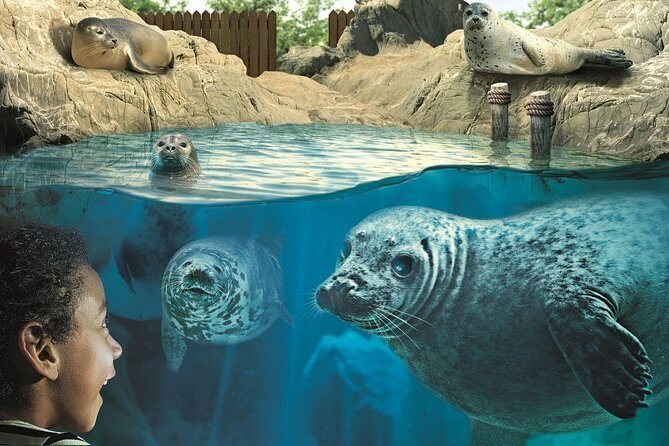Hunstanton SEA LIFE Sanctuary General Admission Ticket - The Sum Up: Who Will Enjoy Hunstanton SEA LIFE?
