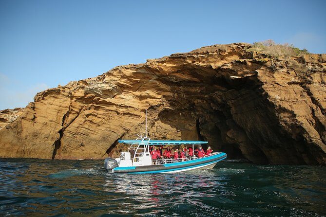 Hunter Coastal Adventure Tour by Boat from Newcastle - Key Points