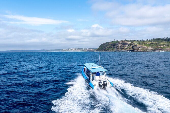 Hunter Coastal Adventure Tour by Boat from Newcastle - Authentic Insights from Reviews