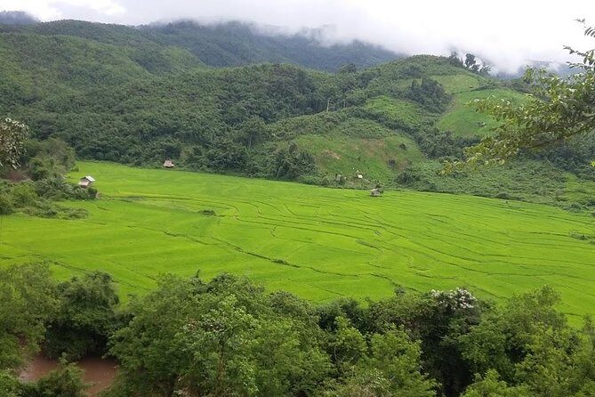 Hunter Trails, 3 days difficult trekking with Camping & Homestay - Discovering the Hunter Trails: A 3-Day Jungle Trekking Adventure in Laos