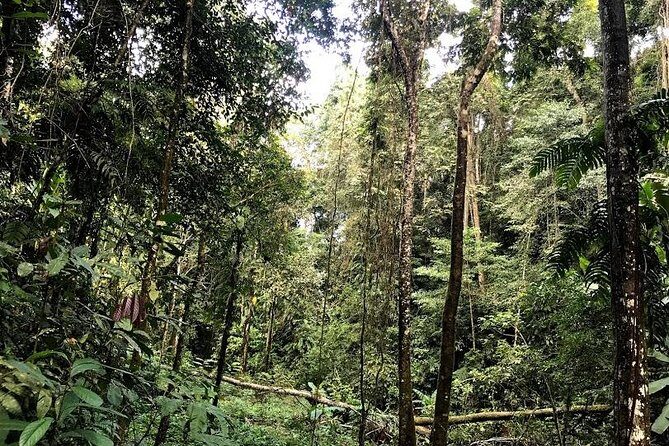 Hunter Trails, 3 days difficult trekking with Camping & Homestay - Authenticity and Connection: The Real Value of the Hunter Trails