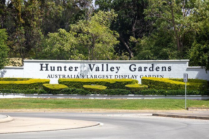 Hunter Valley All Inclusive, Wine, Chocolate Tasting and Lunch - Authentic Experiences and Real Travelers’ Feedback