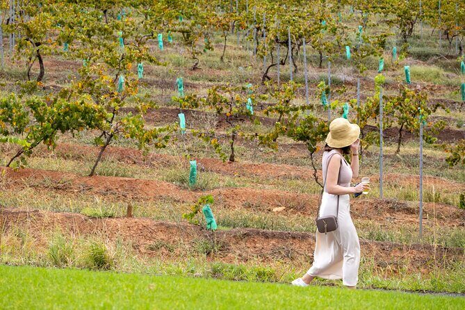 Hunter Valley All Inclusive, Wine, Chocolate Tasting and Lunch - Why This Tour Stands Out