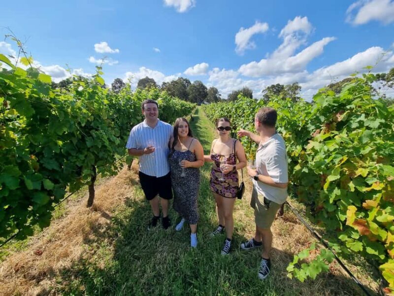 Hunter Valley: Beer & Wine Group Tour - Introduction