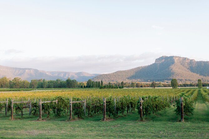 Hunter Valley Boutique Wine Tour with 3 Tastings | From Sydney - The Itinerary: A Day in the Hunter Valley