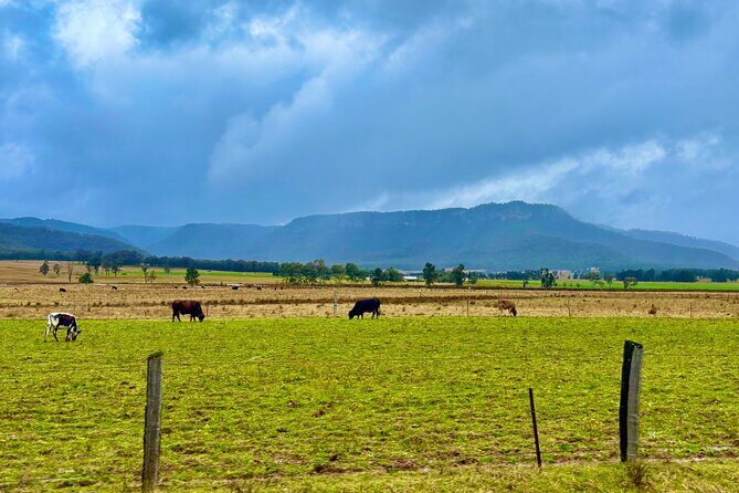 Hunter Valley Escape A Day of Wine Art and Aussie Countryside - An In-Depth Look at the Hunter Valley Escape