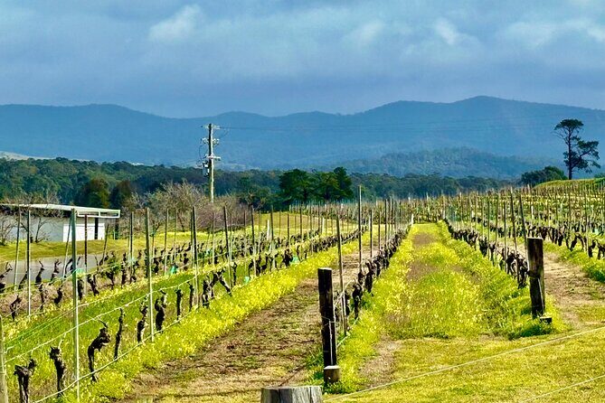 Hunter Valley Escape A Day of Wine Art and Aussie Countryside - Who Is This Tour Best For?