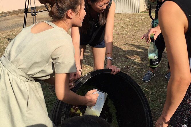 Hunter Valley Grape Stomping - What to Expect During the Tour