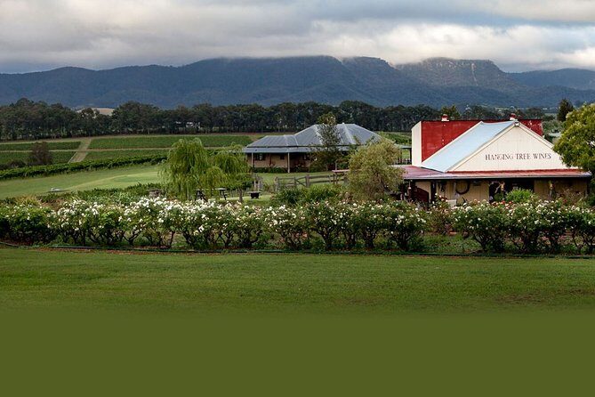 Hunter Valley Highlights Private Wine Tour from Sydney - The Practicalities and Value