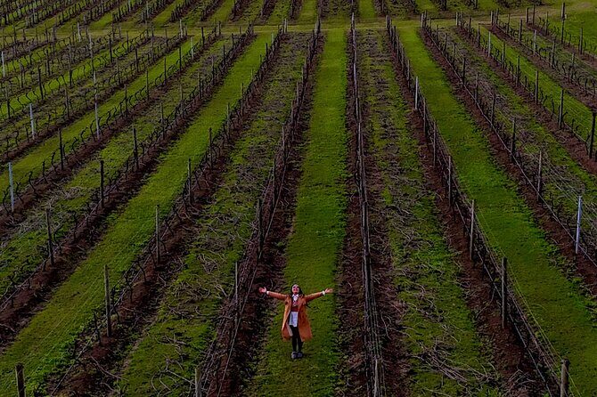 Hunter Valley Highlights Tour Wine Tasting & Small Group + Roos - The Sum Up: Is It Worth It?