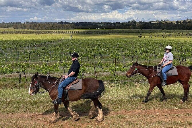 Hunter Valley Horse Ride - 90 Minutes -Vineyard & Mountain Views - An In-Depth Look at the Hunter Valley Horse Ride Experience