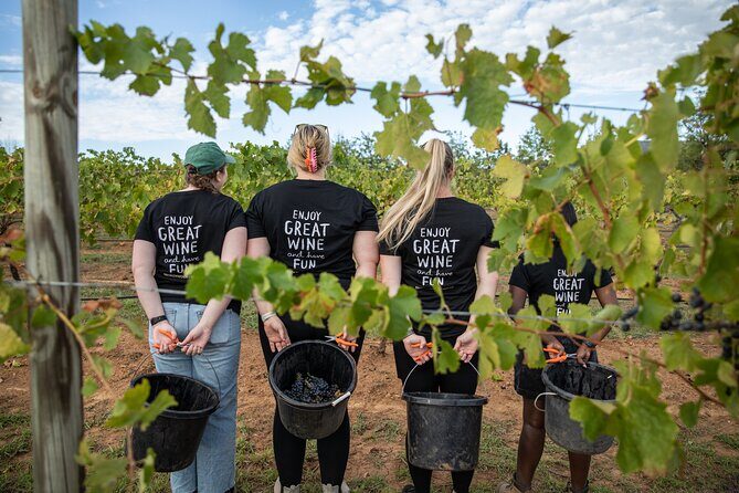 Hunter Valley Premium Tastings with Lunch - Who Would Love This Tour?