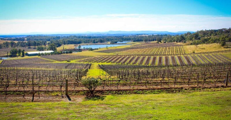 Hunter Valley: Private Day Tour from Sydney with Your Crew! - Discovering the Hunter Valley through a Personal Lens