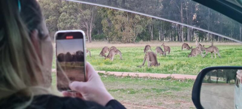 Hunter Valley: Private Wine, Cheese, and Chocolate Tour - Value and Practicalities