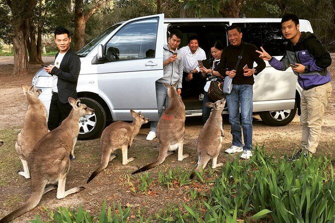 Hunter Valley Private Wine Tasting Tour from Sydney - FAQs